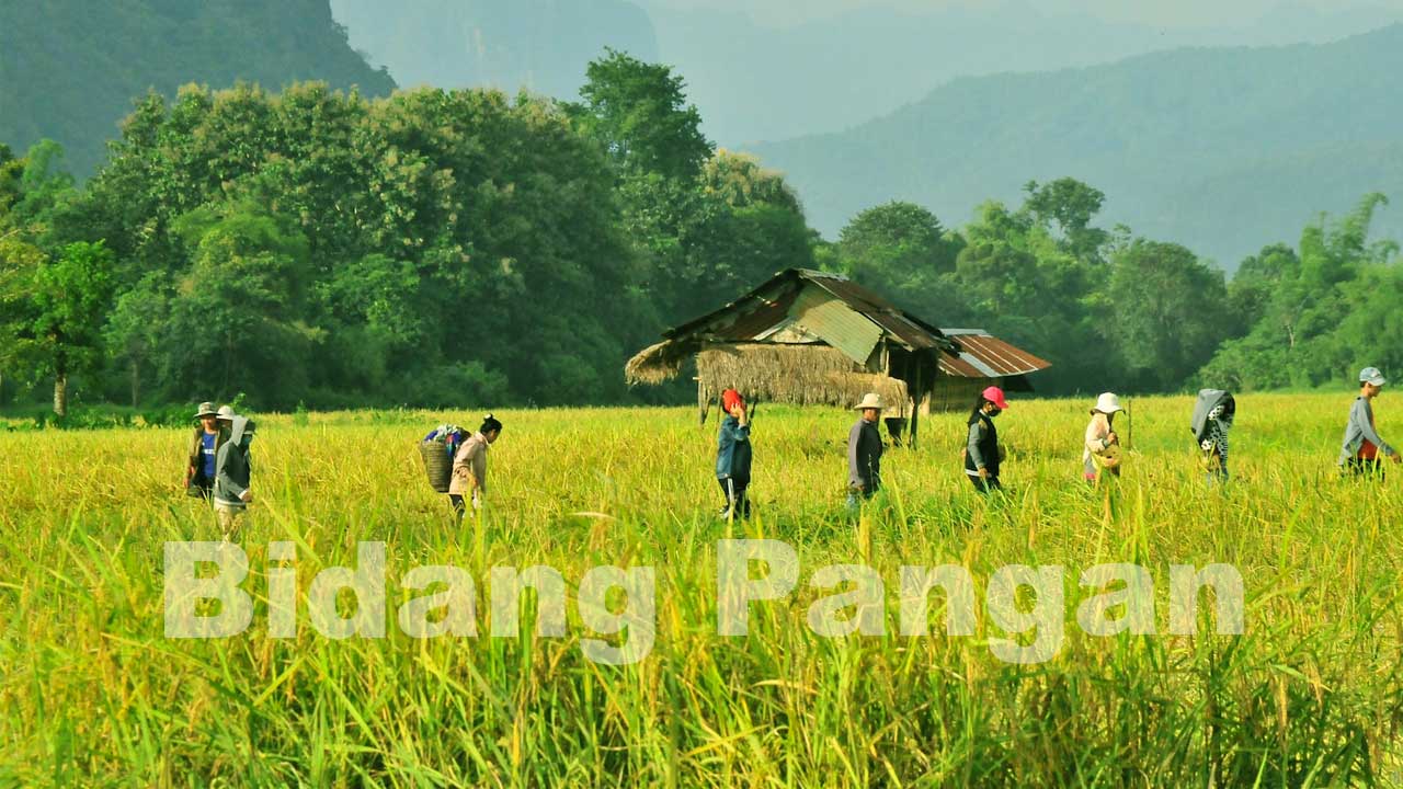 Contoh Penerapan Biologi Dalam Bidang Pangan | Sekdikcom